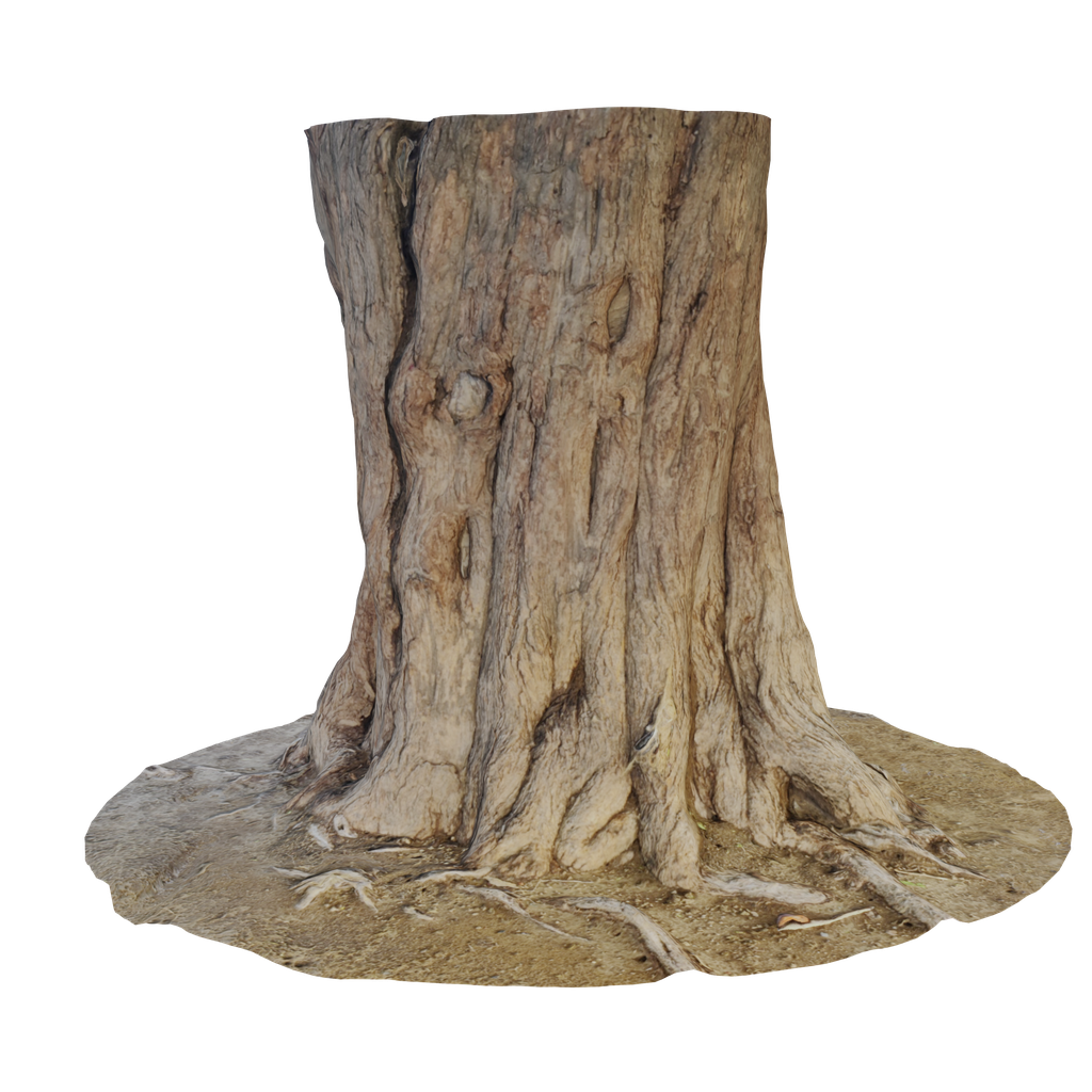 Tree old | Trees models | BlenderKit