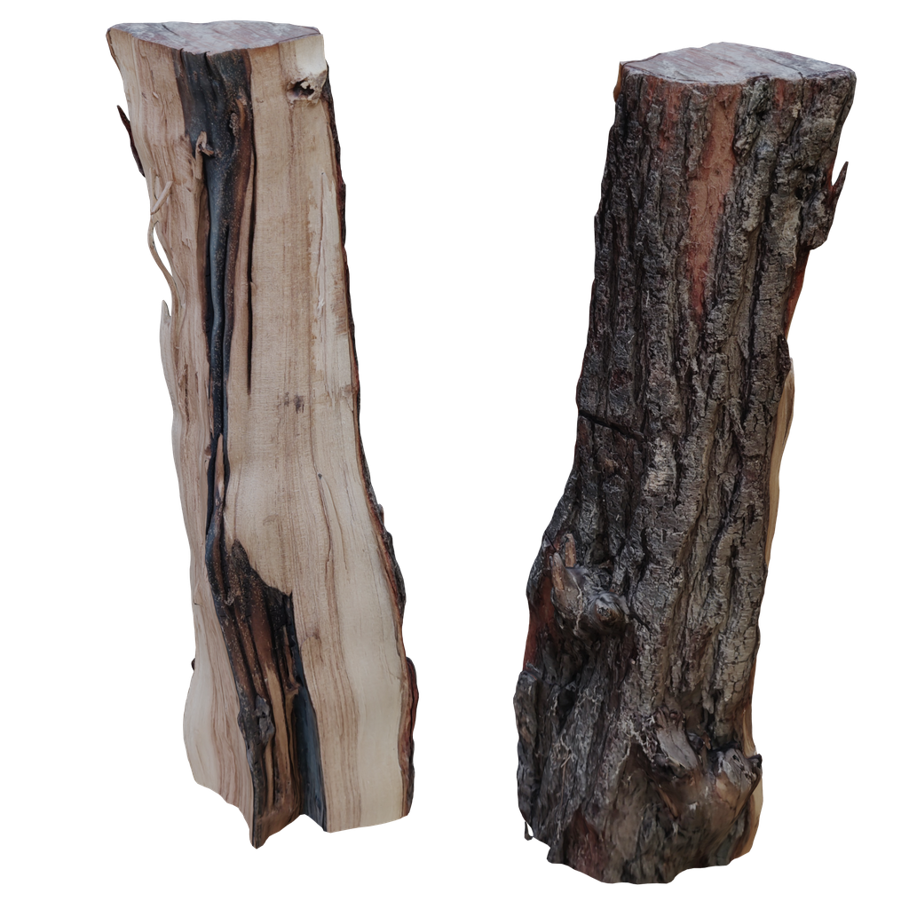 Scan cutted log | FREE Trees models | BlenderKit
