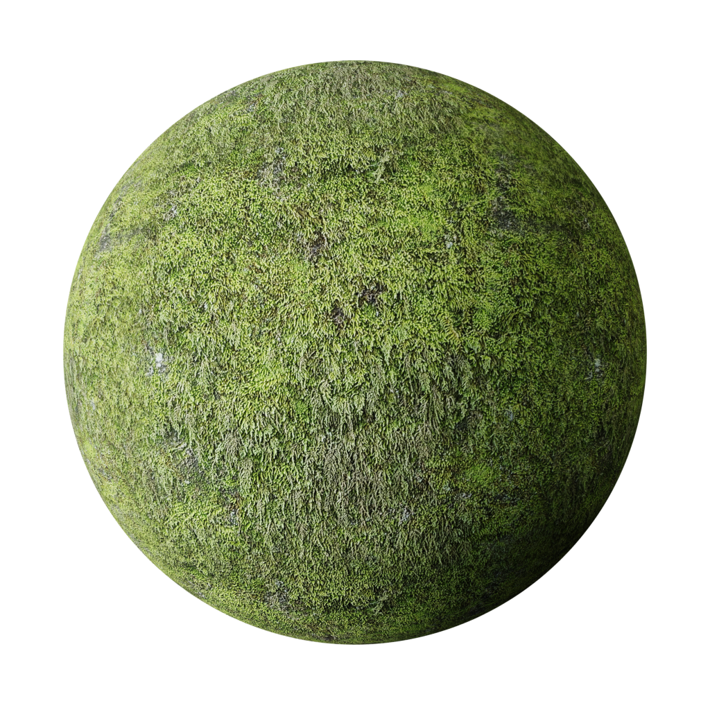 Moss | FREE grass materials | BlenderKit