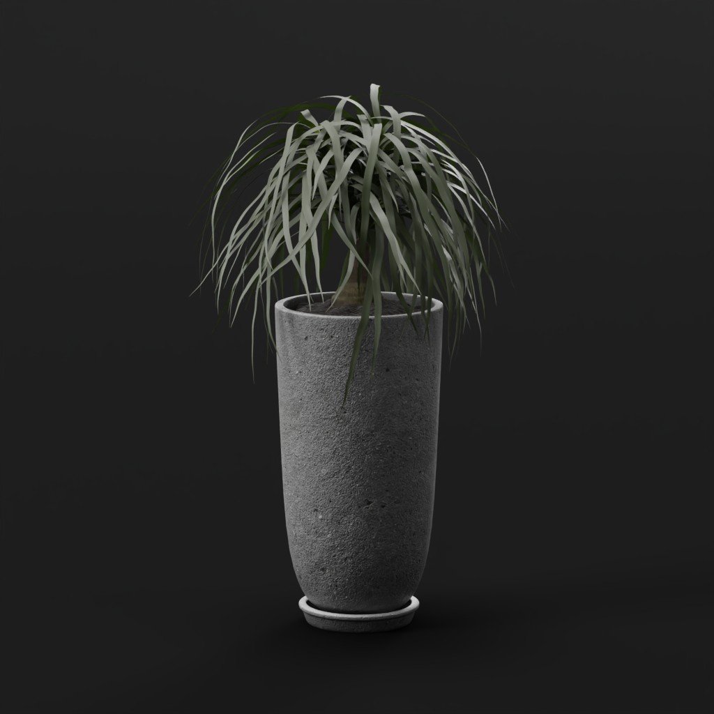 Ponytail Palm in Stone Planter | Outdoor Plants models | BlenderKit