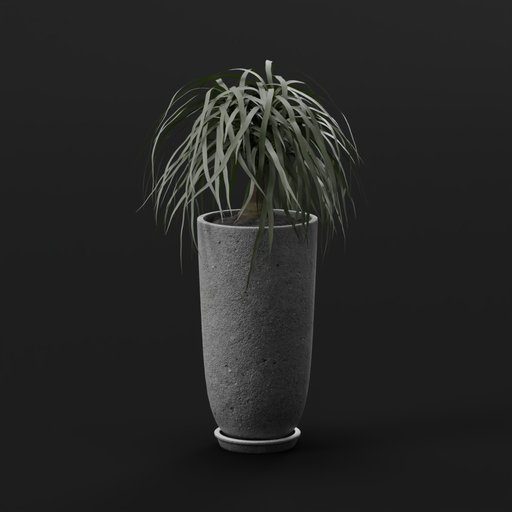 Ponytail Palm in Stone Planter | Outdoor Plants models | BlenderKit