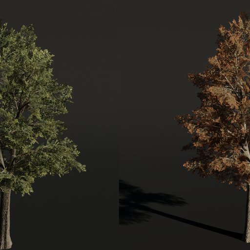 Cut log 04 - remeshed photoscan | FREE 3D Tree models | BlenderKit