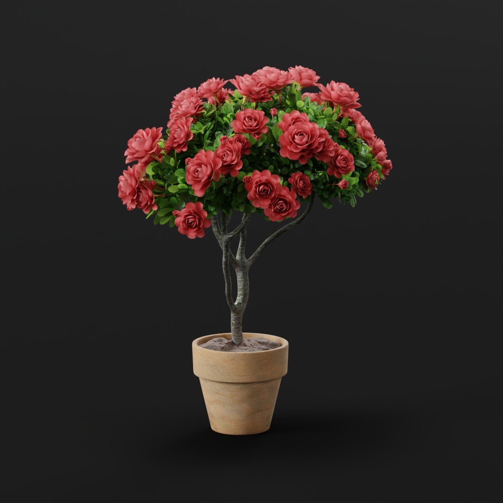 Red Rose Bonsai | Outdoor Plants models | BlenderKit