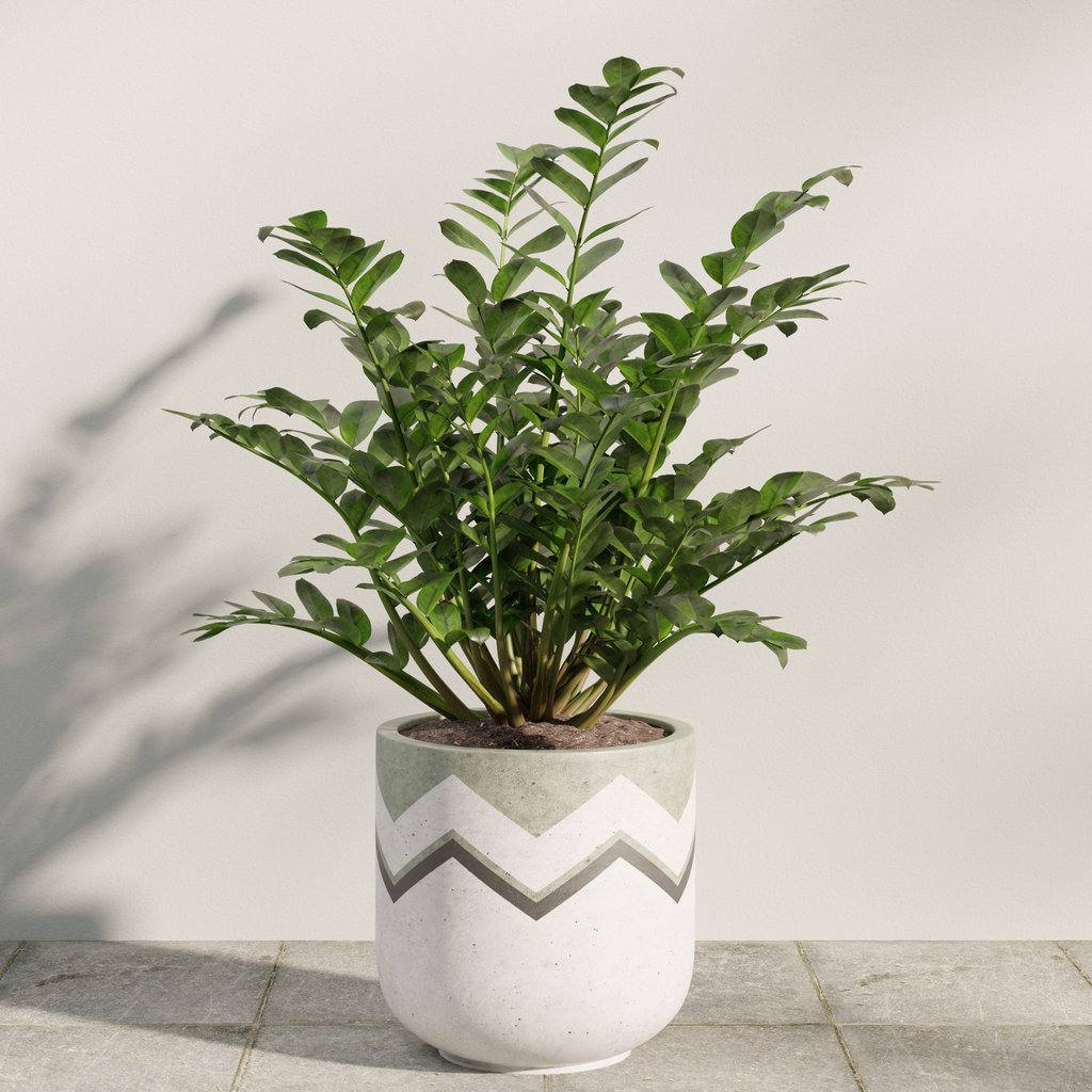 ZZ Plant Planter | Outdoor Plants models | BlenderKit
