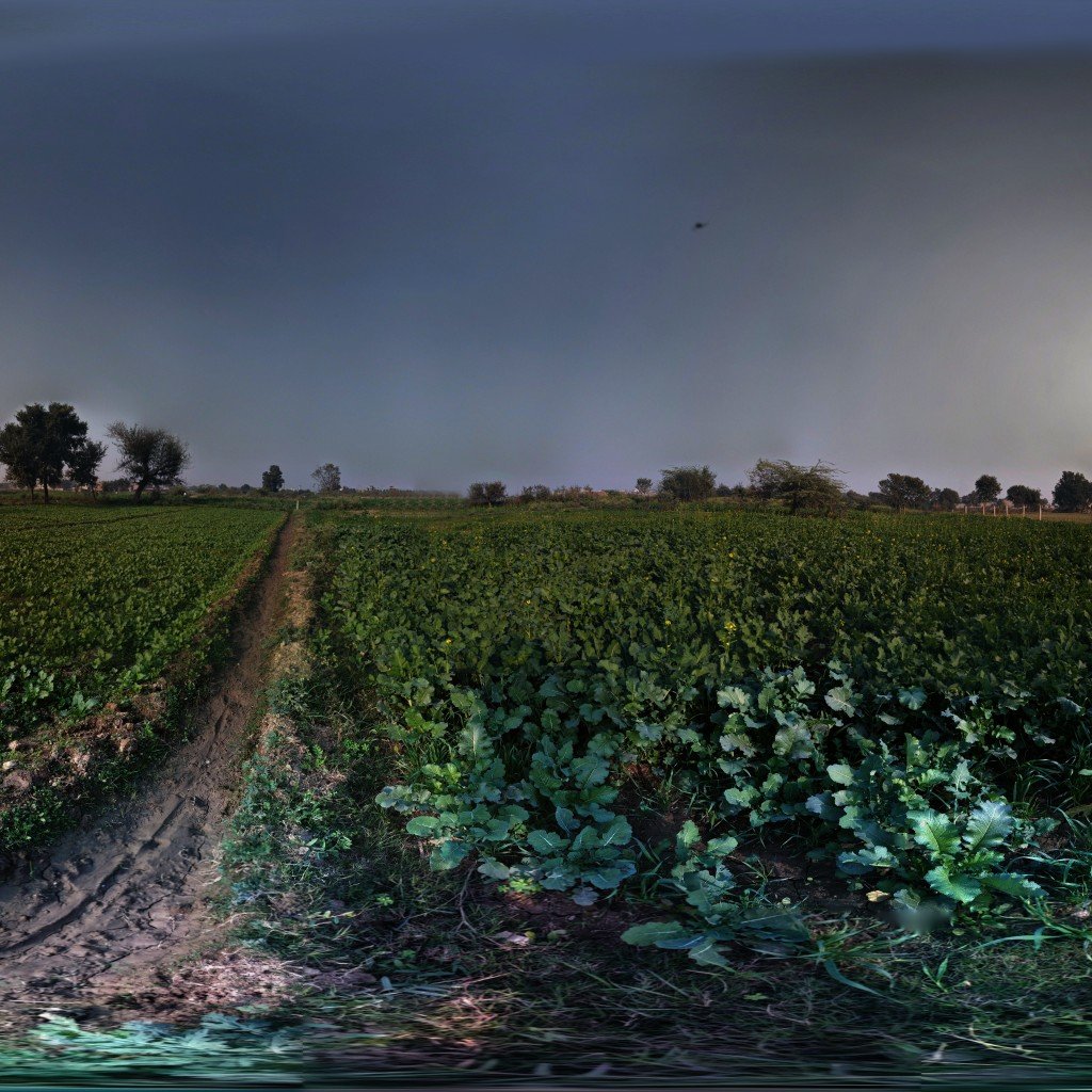 BlenderKit | Download the FREE HDRI Green hdr