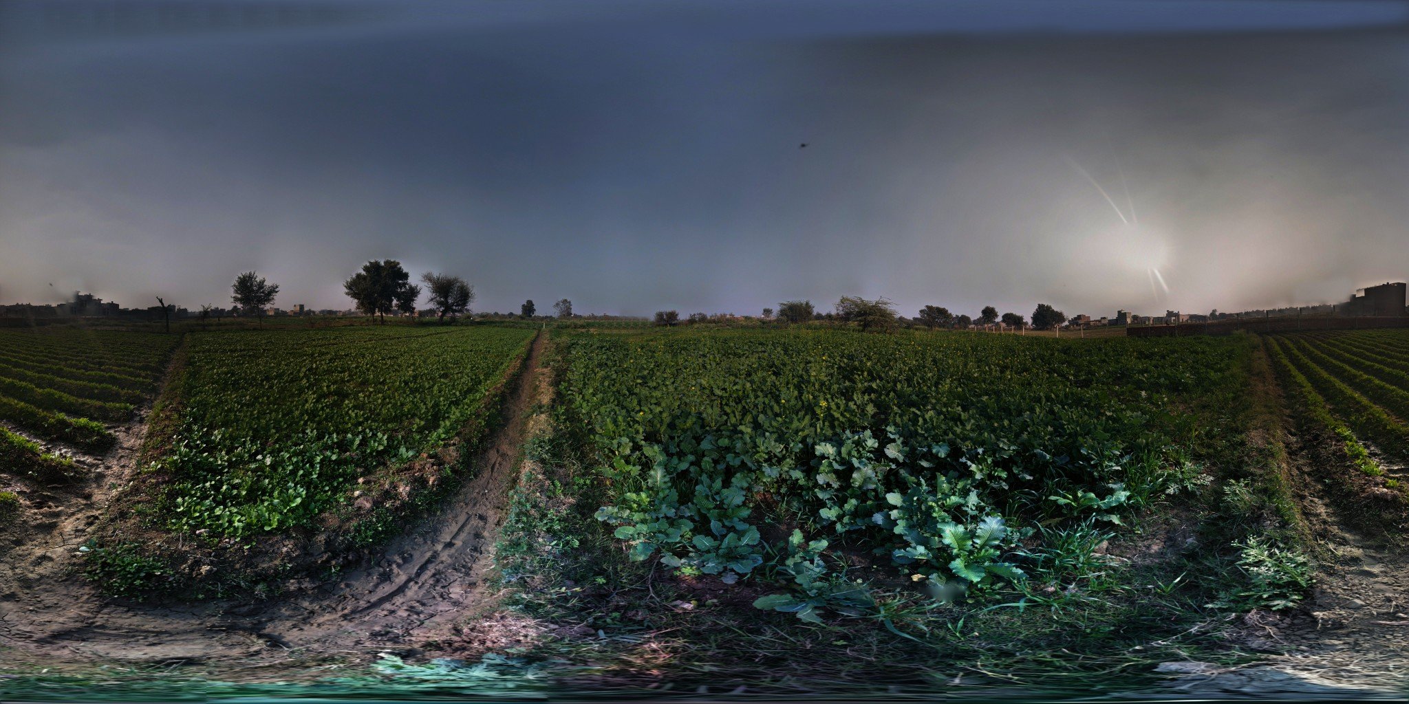 HDRI Green | FREE Nature HDRis | BlenderKit