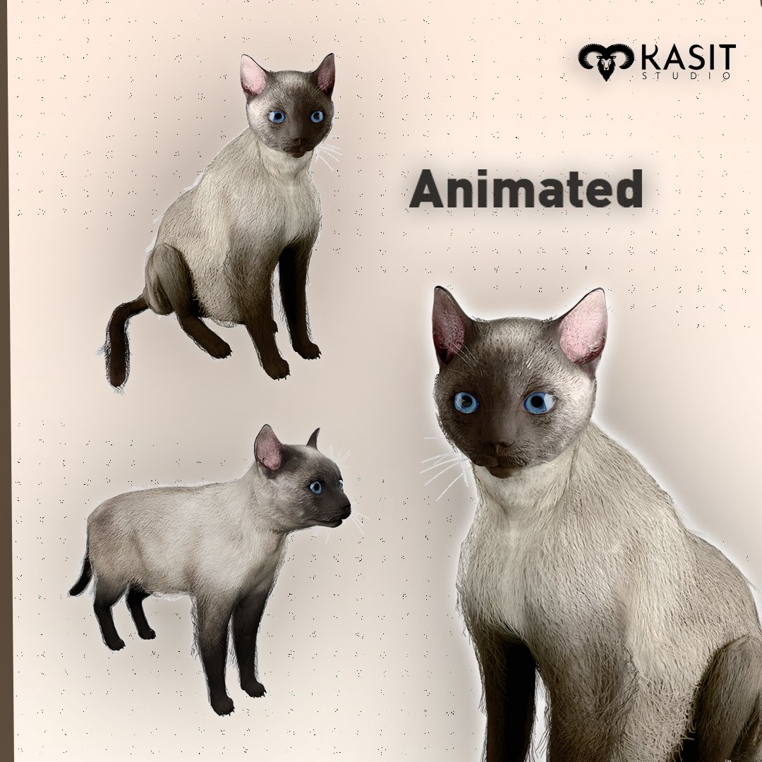 Siamese Cat animated | Mammals models | BlenderKit
