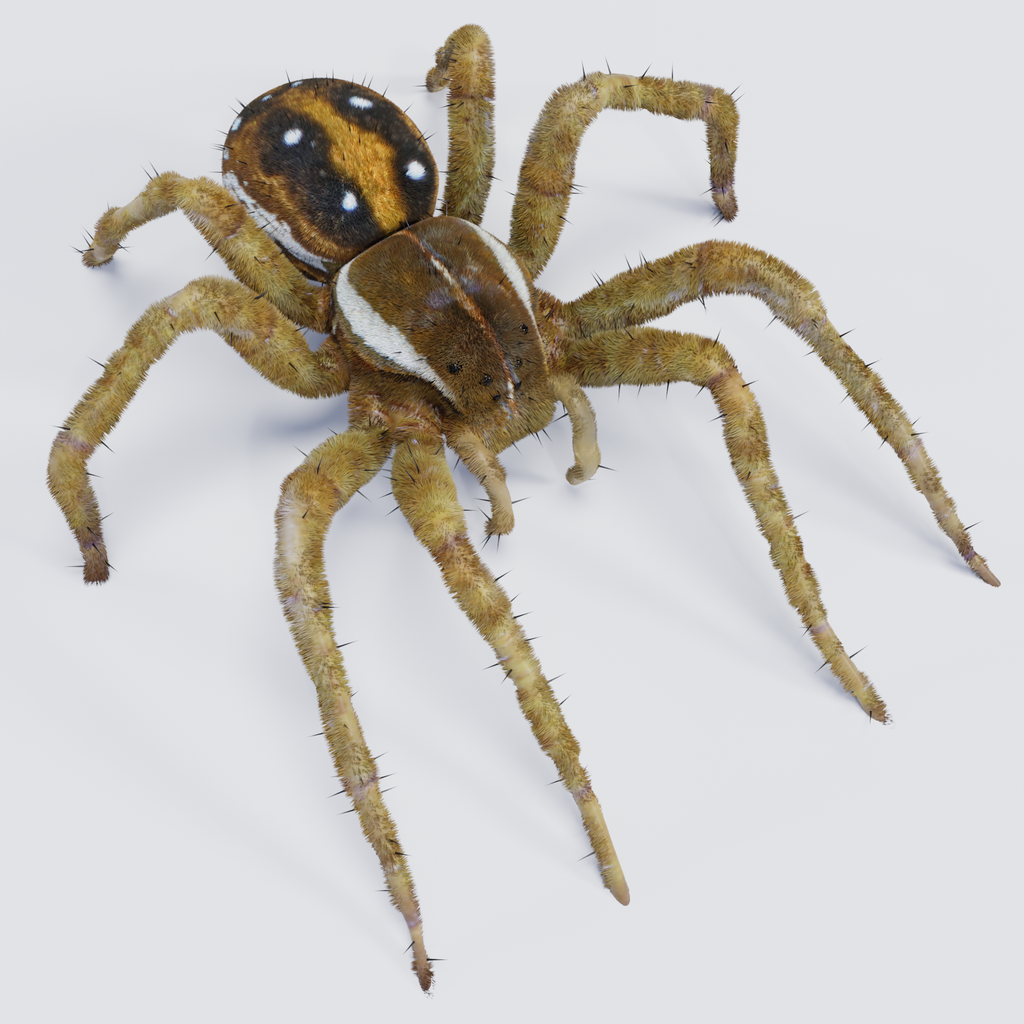 Ant (Rigged) | FREE Insects models | BlenderKit
