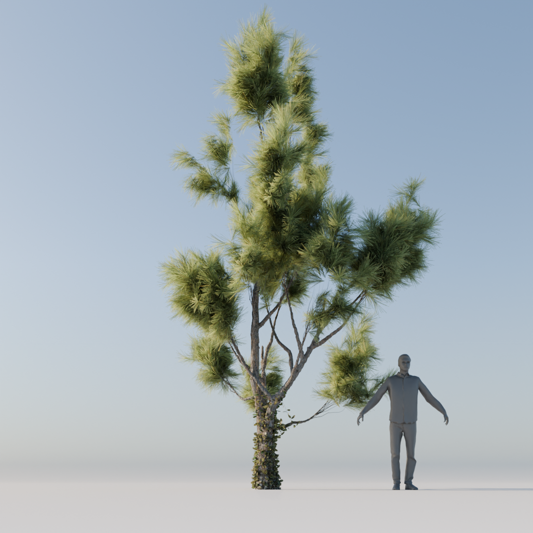 Tree 52 | Trees models | BlenderKit