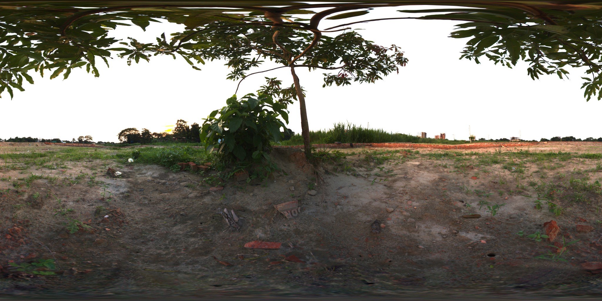 Tree and Urban Horizon – HDRI | FREE Landscapes HDRis | BlenderKit