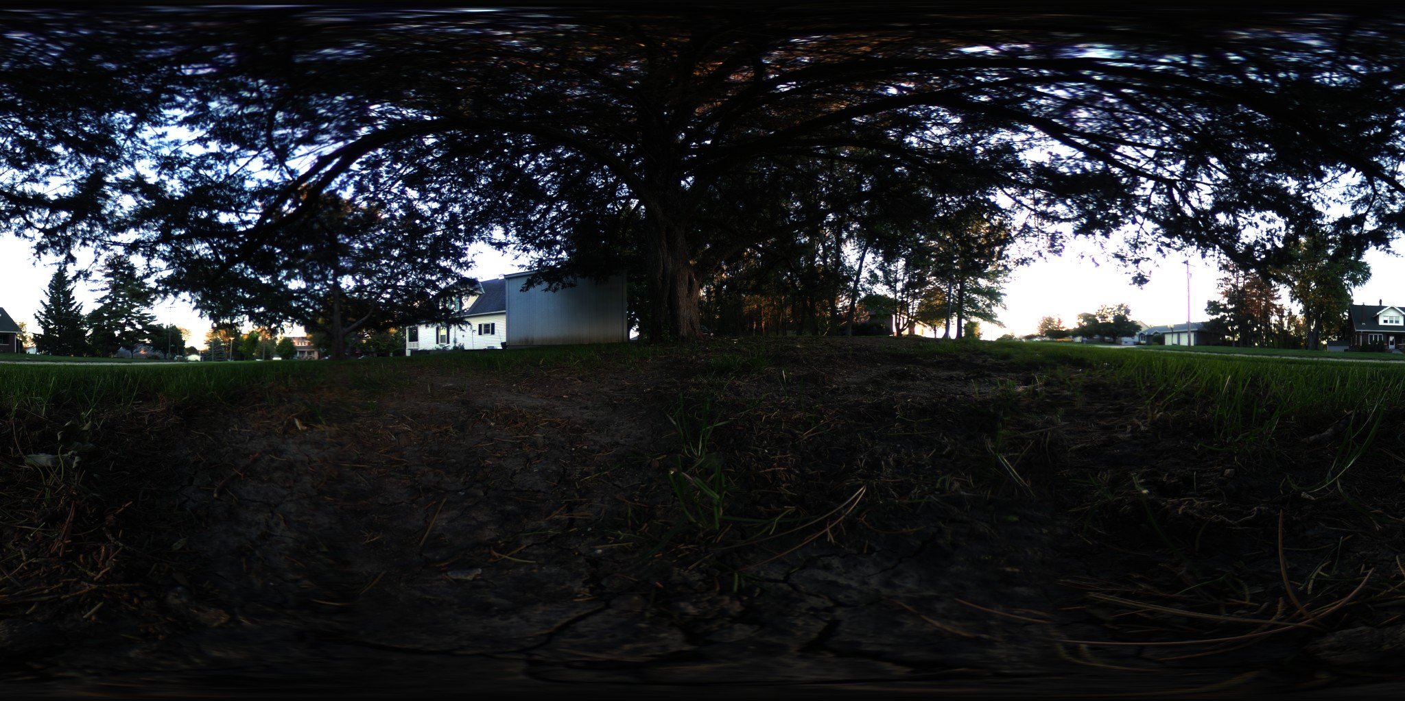 Forest | Nature HDRis | BlenderKit