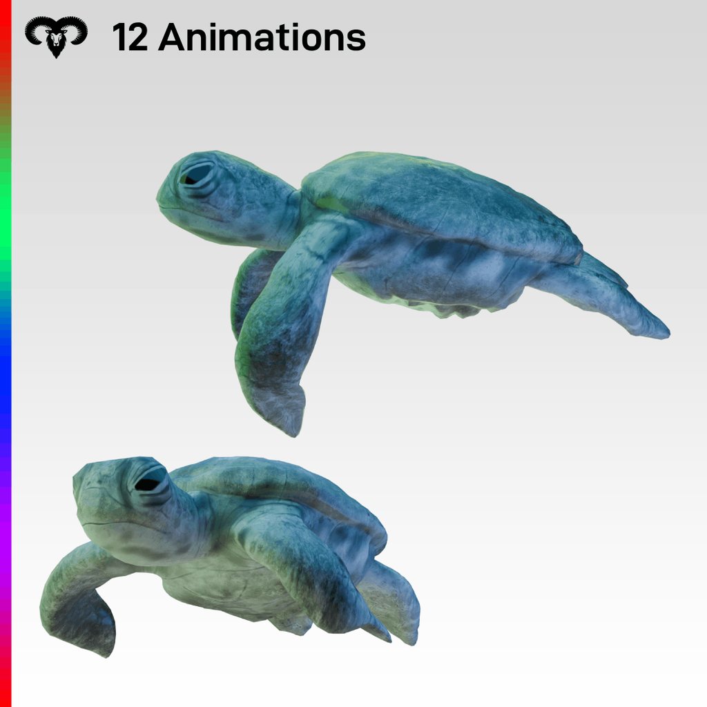 Baby Turtle Animated | Fish models | BlenderKit