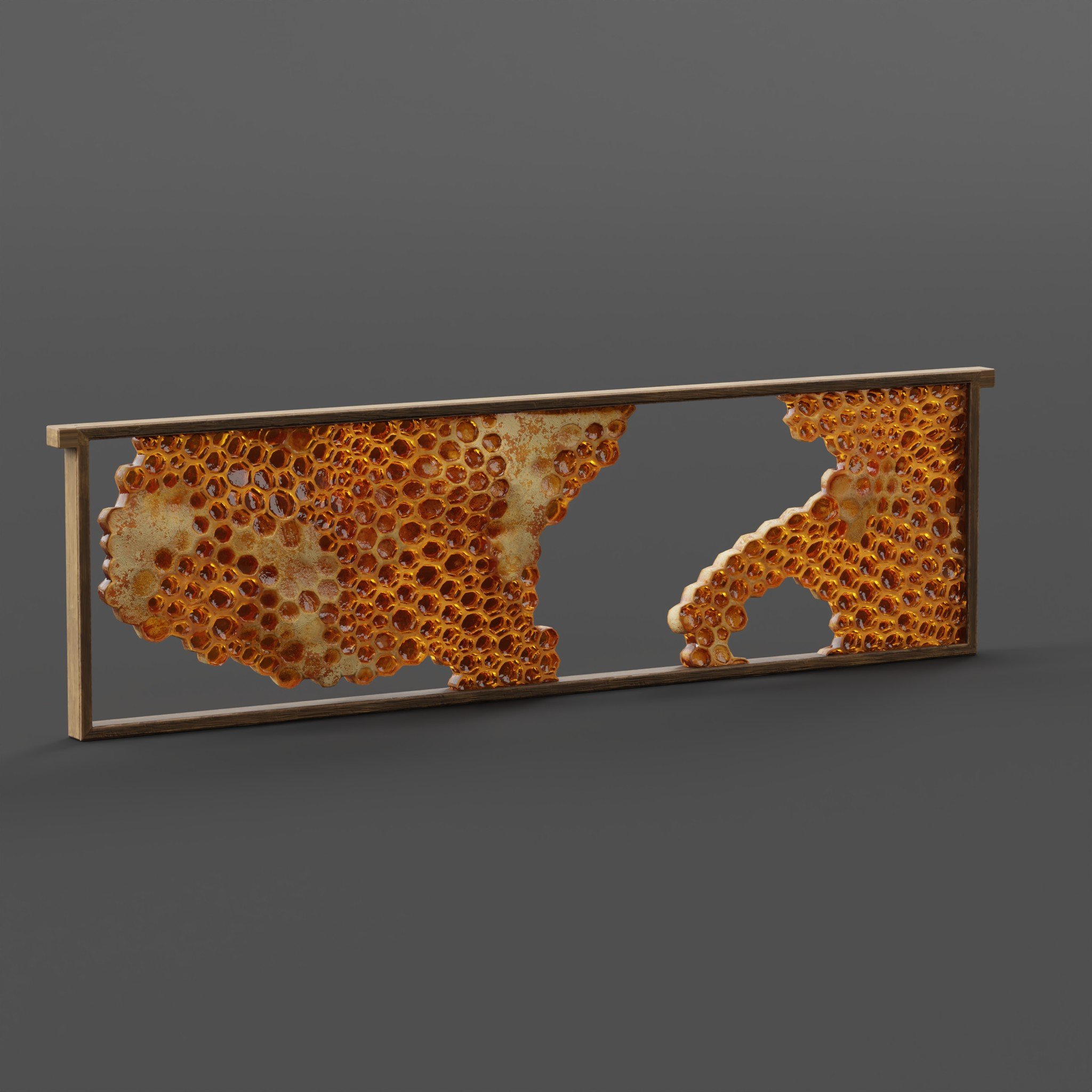 Half Honeycomb Frame | Nature models | BlenderKit