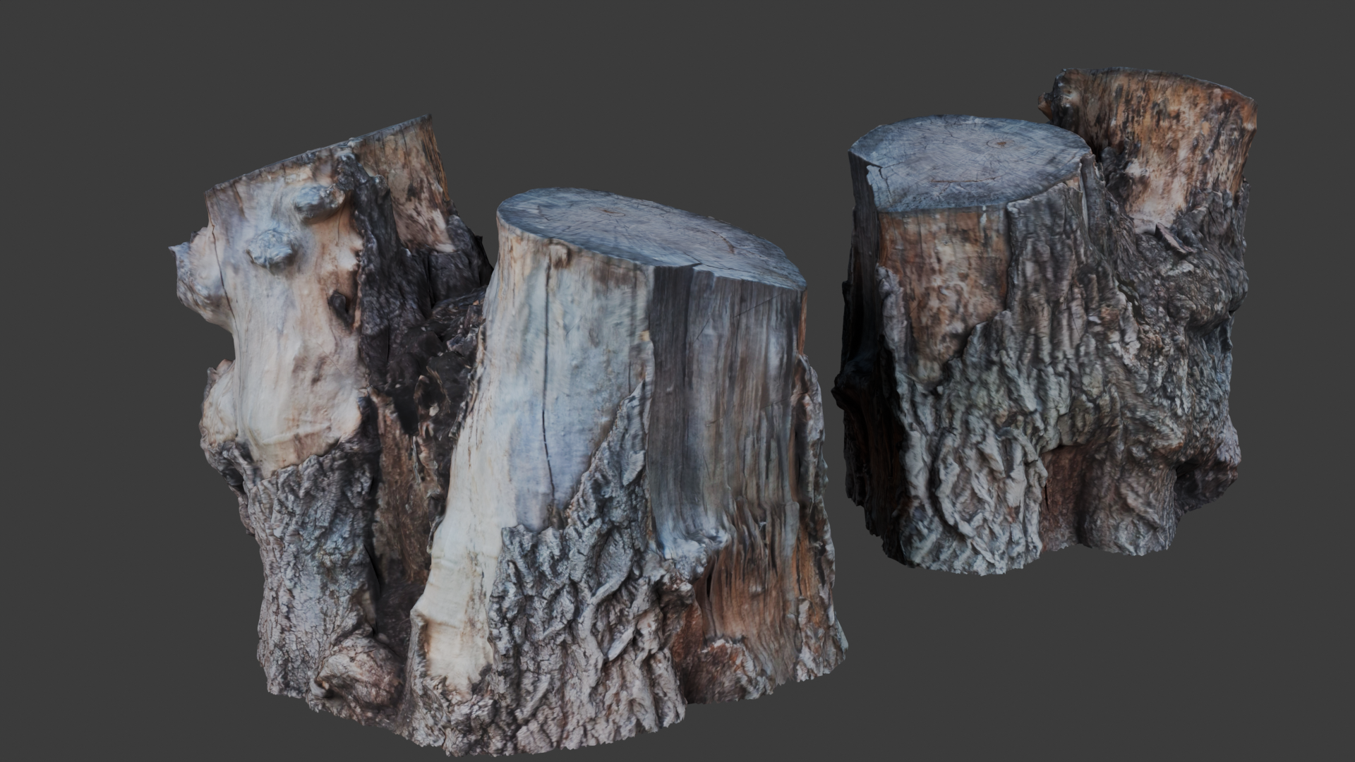 Double stump | FREE Trees models | BlenderKit