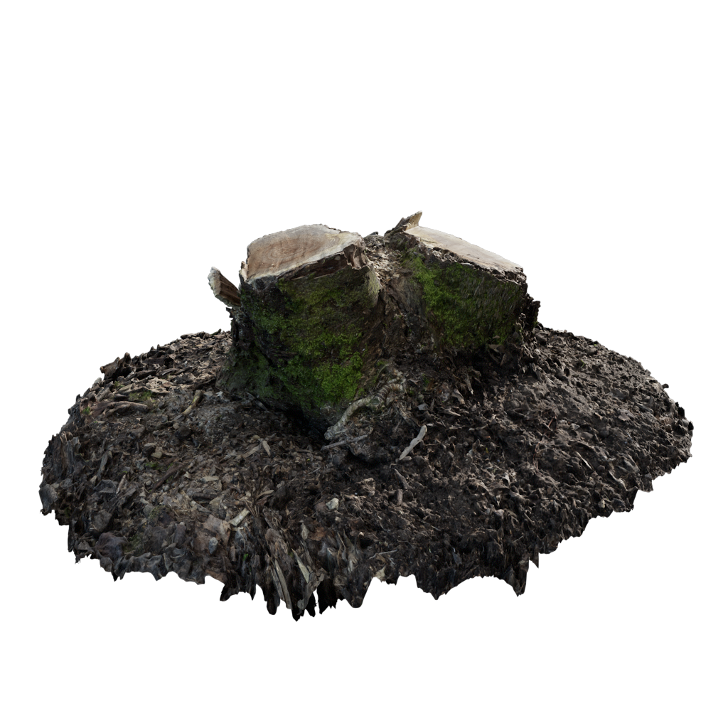 Mossy Stump | FREE Trees models | BlenderKit