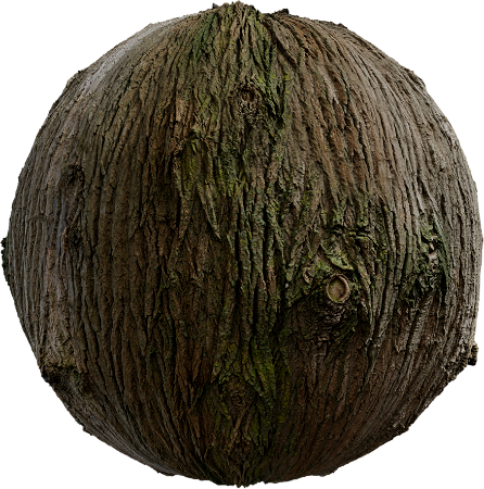 Dark oak fine wood texture | FREE wood materials | BlenderKit