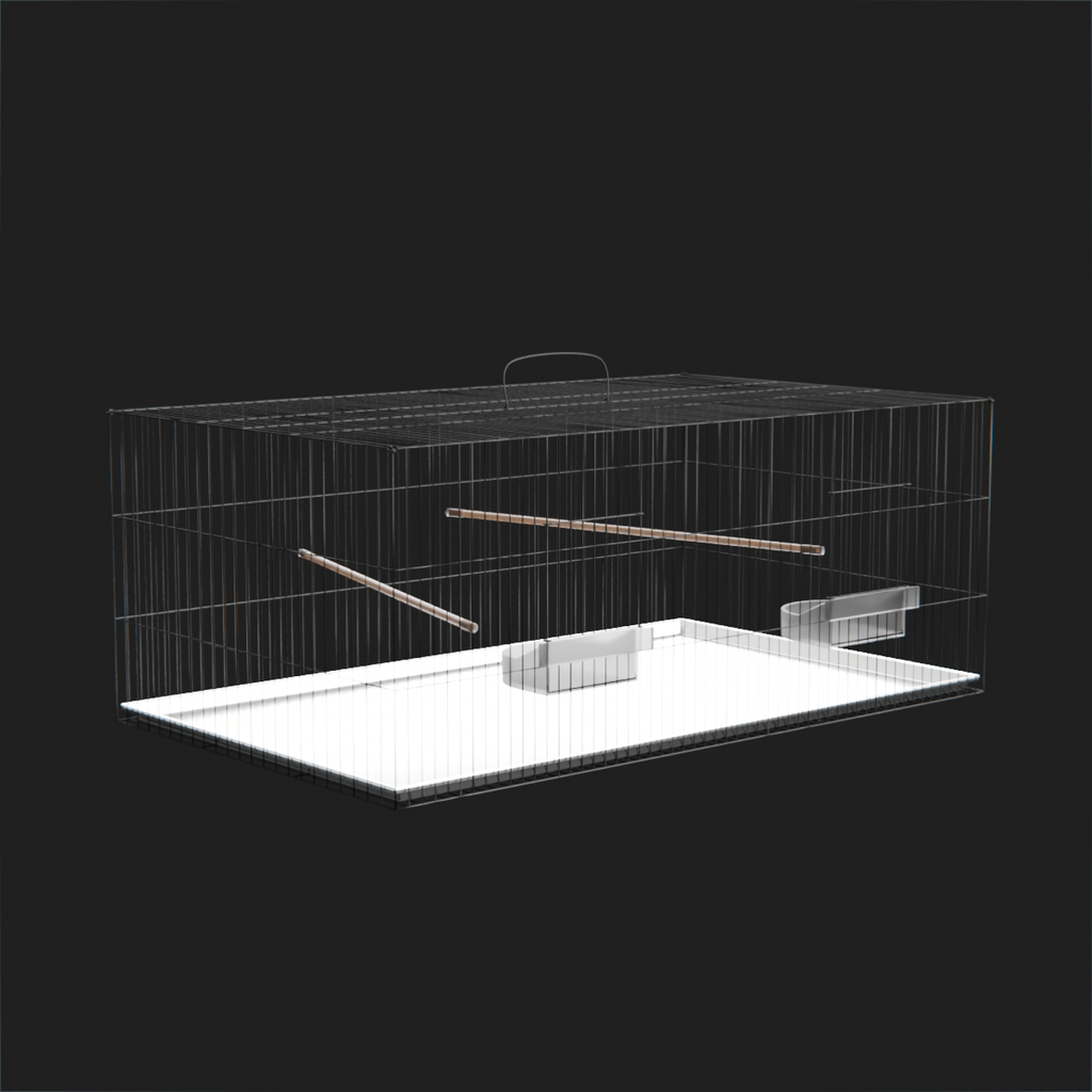 Bird Cage | Interior Decorations models | BlenderKit