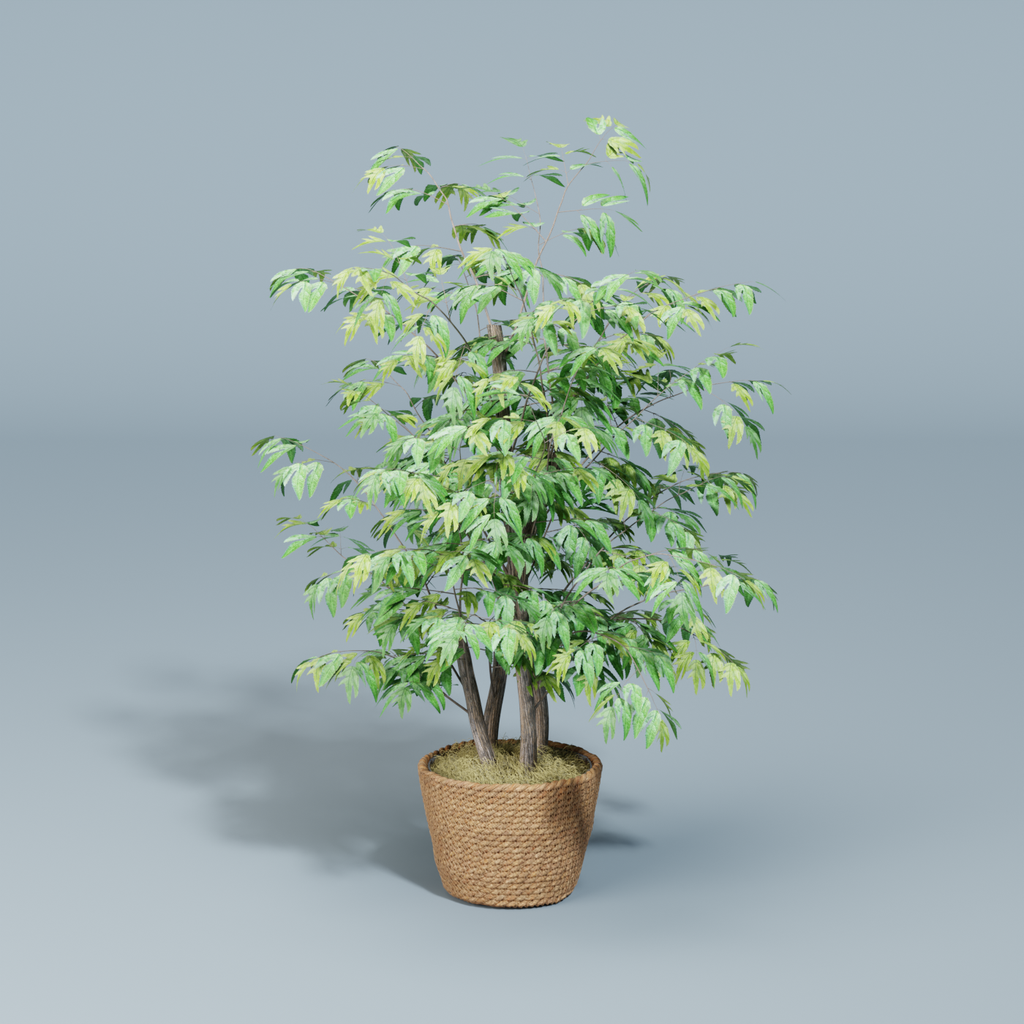 Faux Tree in Wicker | Trees models | BlenderKit