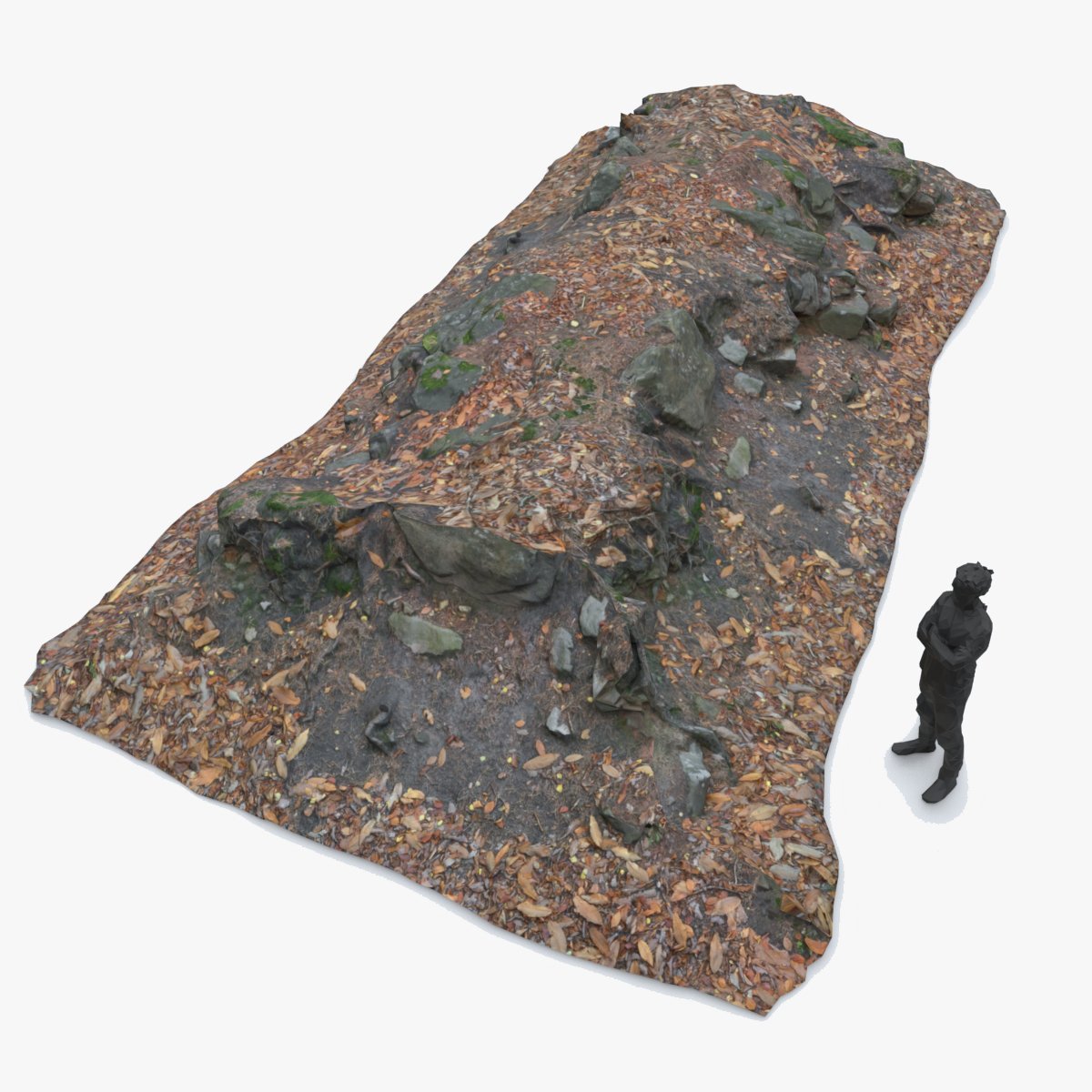 Rock forest ground | Terrains models | BlenderKit