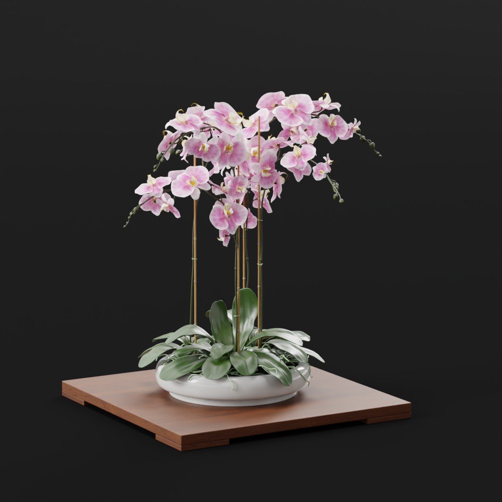 Pink Orchids in White Ceramic Pot | Indoor Plants models | BlenderKit
