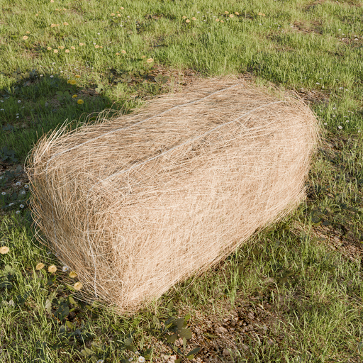Hay Bale | Interior Decorations models | BlenderKit
