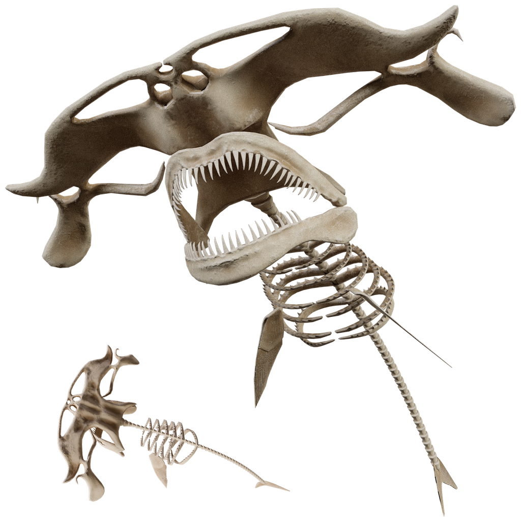 Fully rigged human skeleton | Human Skeletons models | BlenderKit