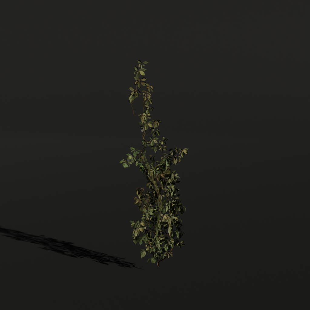 Creepers Vine c4 | Trees models | BlenderKit