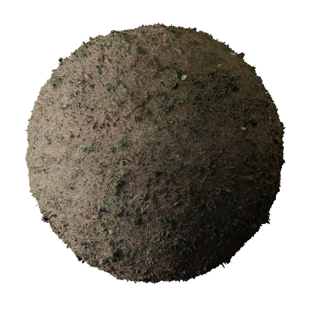 Grass Forest Ground PBR Scan | FREE ground materials | BlenderKit