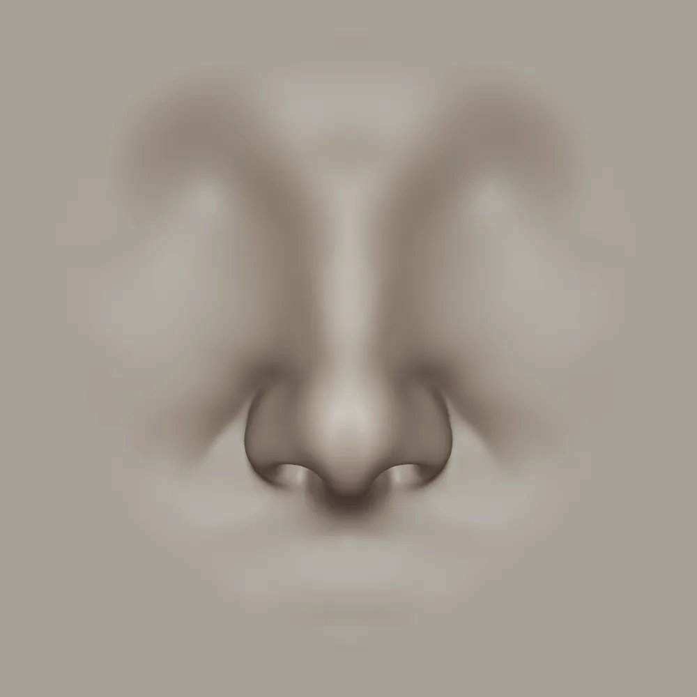Nose | Human Face brushes | BlenderKit