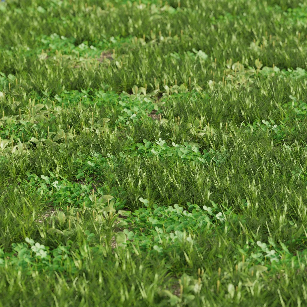 grass 1x1 m basic uncut | FREE Grass models | BlenderKit