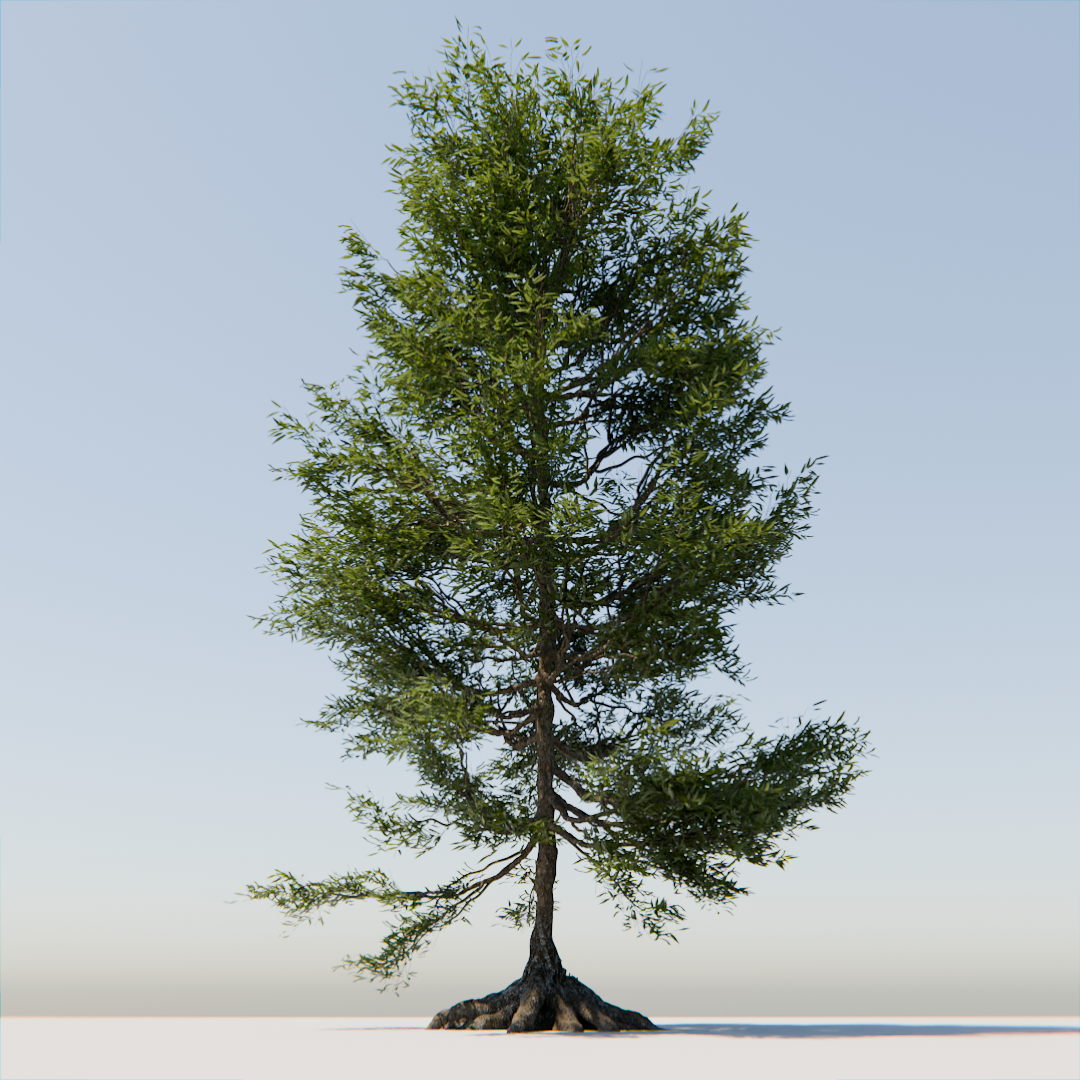 Tree 14 | Trees models | BlenderKit