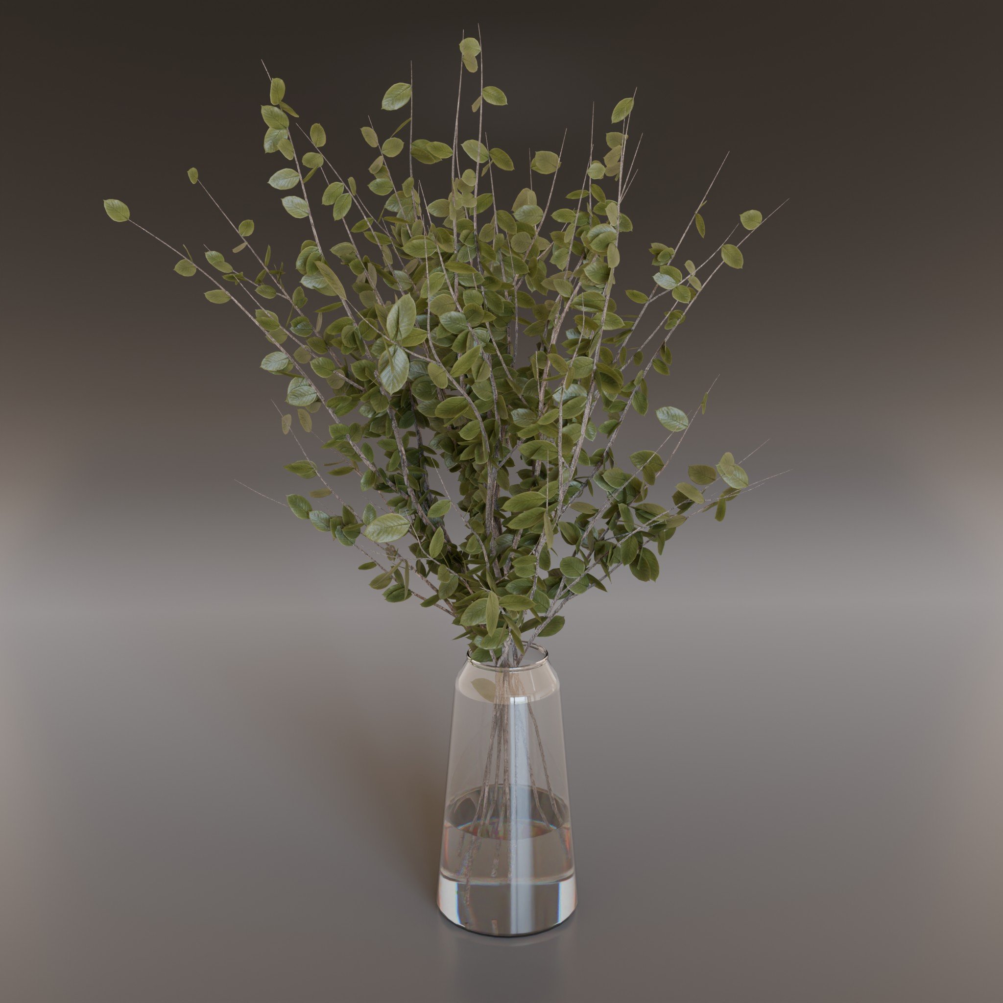 Indoor Plant in a Vase | Indoor Plants models | BlenderKit