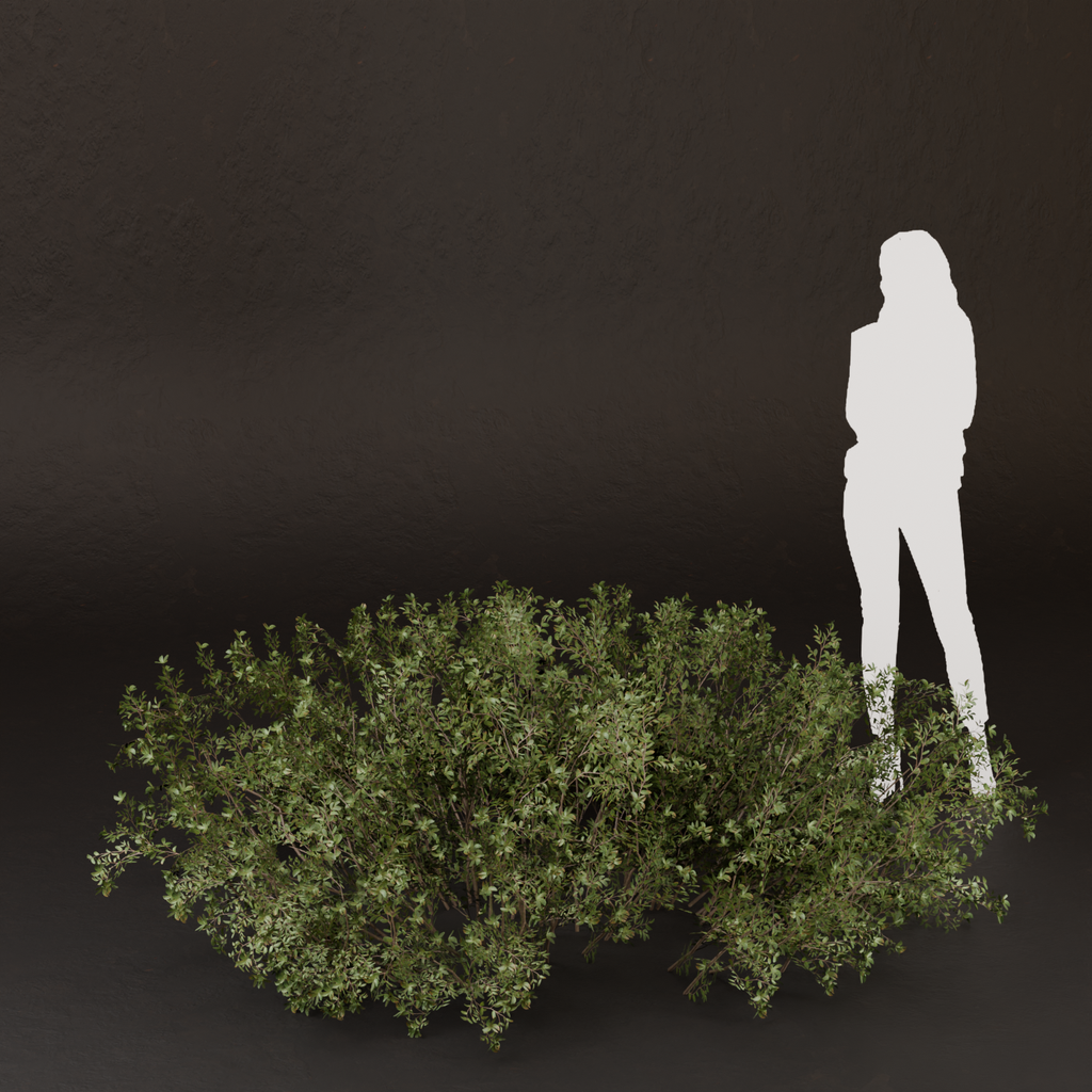 SJ-Country Trail Side Bush | Outdoor Plants models | BlenderKit