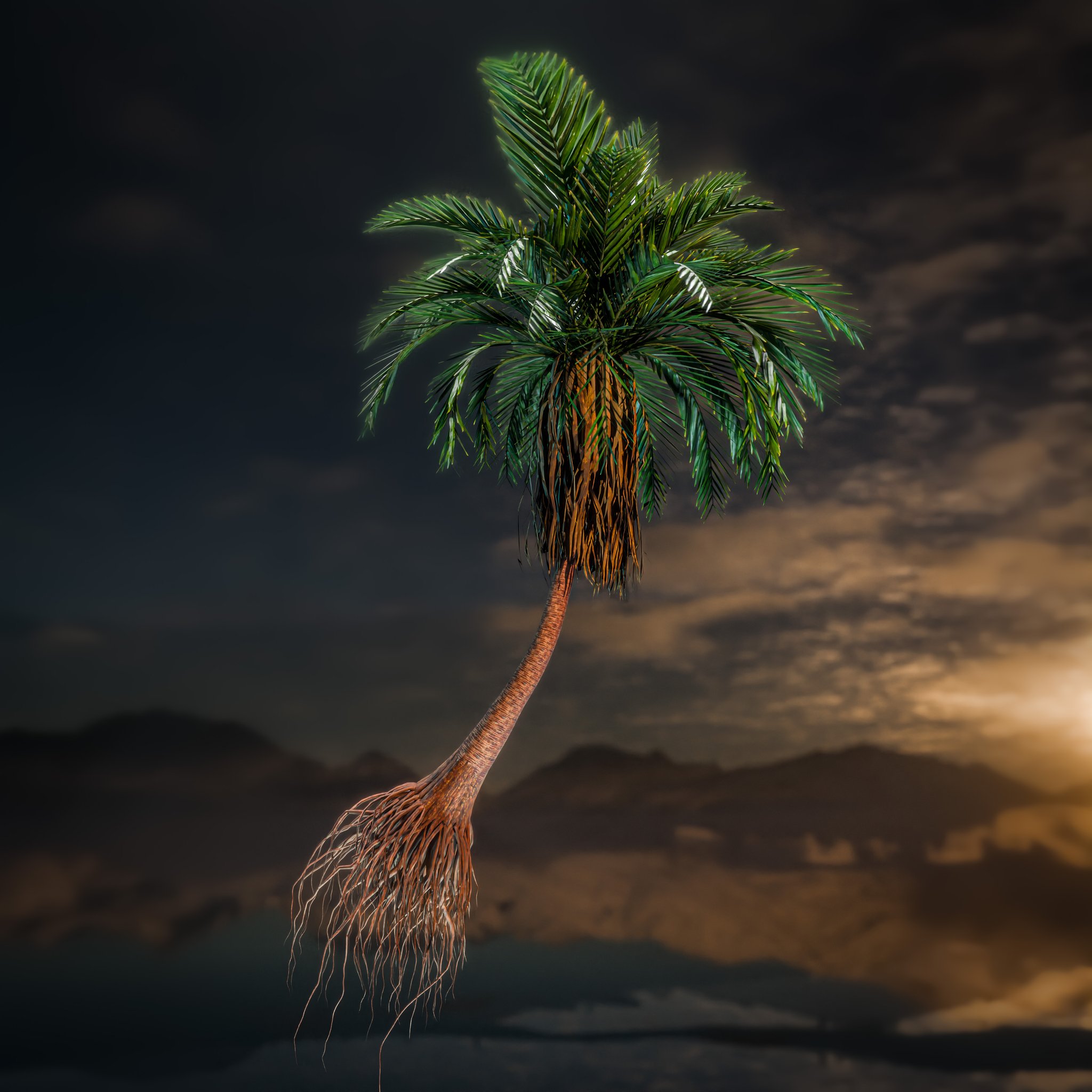 Realistic palm tree | Trees models | BlenderKit