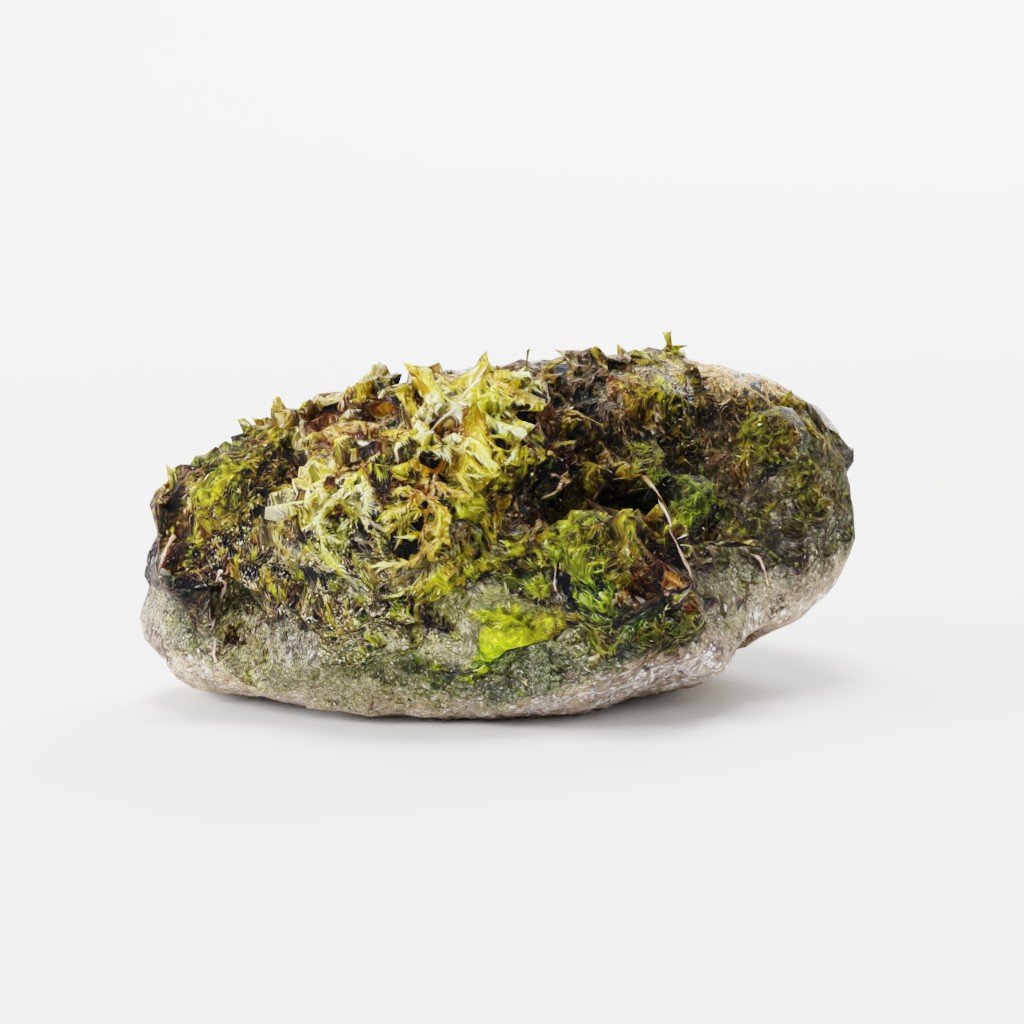 Rock with Moss (Photoscanned) | FREE Environment Elements models ...