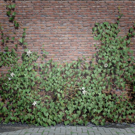 Procedural Ivy Generator GN | FREE Outdoor Plants models | BlenderKit