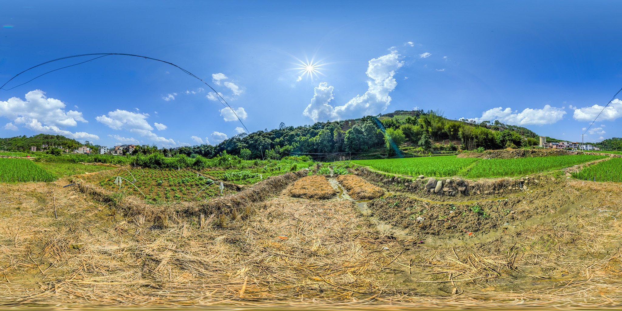 Dry land on a sunny afternoon | Nature HDRis | BlenderKit