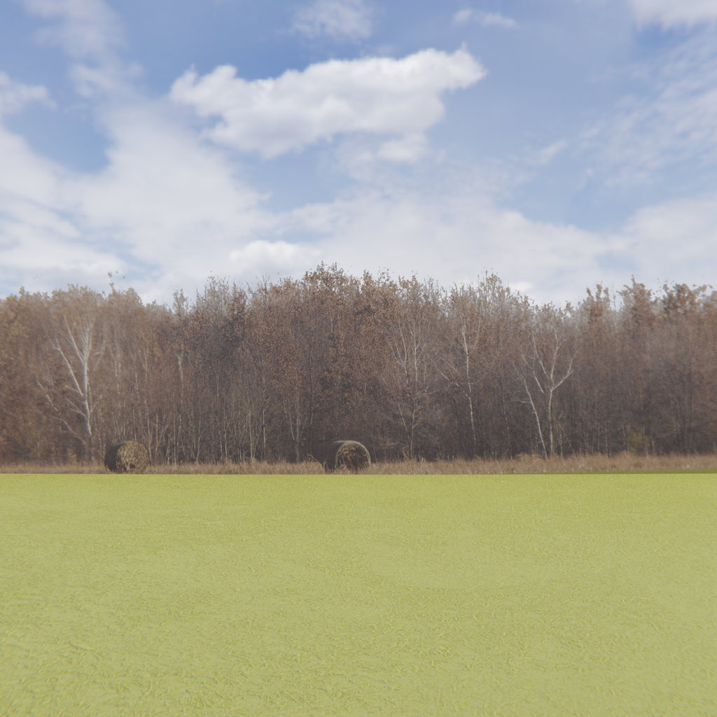 Cut log 04 - remeshed photoscan | FREE Trees models | BlenderKit
