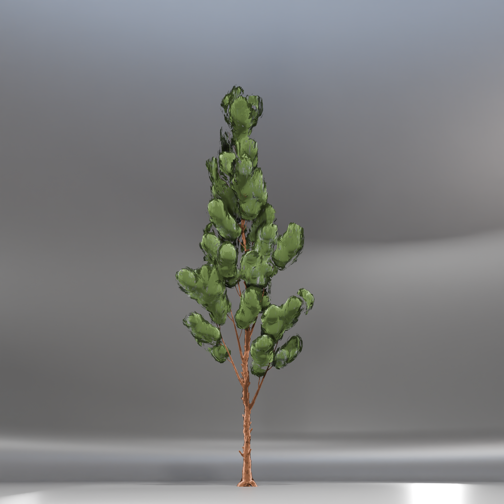 Pine Toon Tree | Trees models | BlenderKit