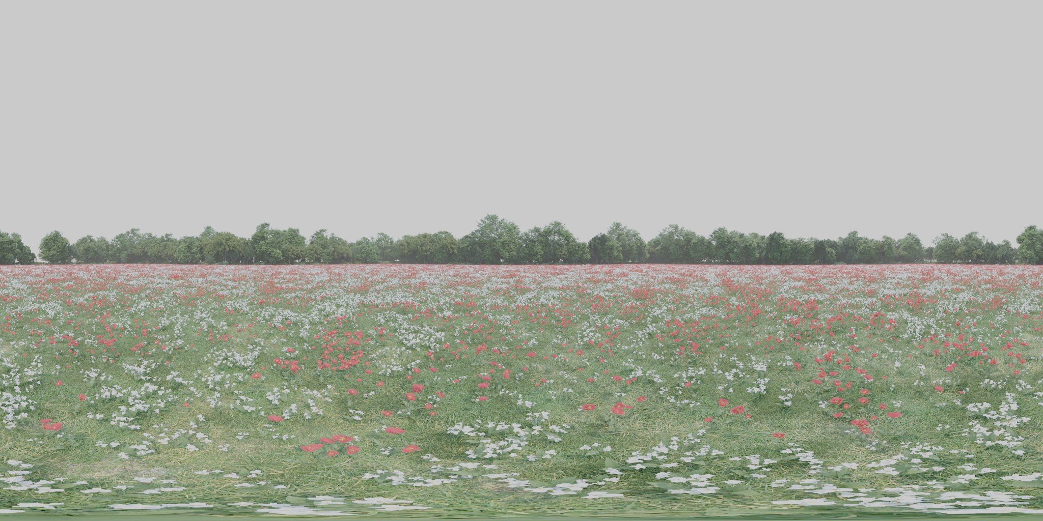 Flower Field Day | Nature HDRis | BlenderKit