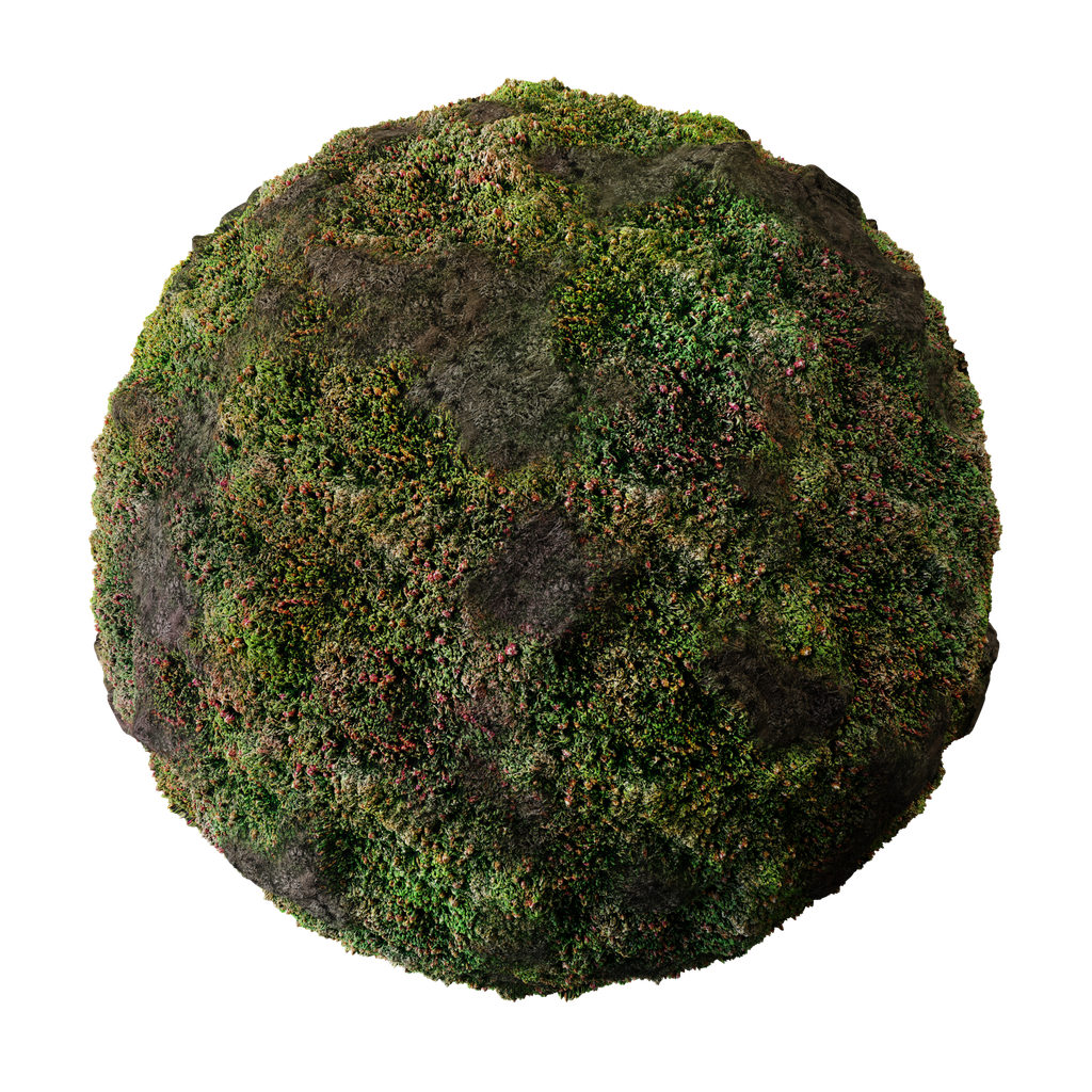 BlenderKit | Download Free 3D models, textures and other Blender assets