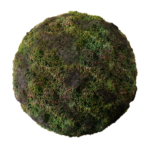 BlenderKit | Download Free 3D models, textures and other Blender assets