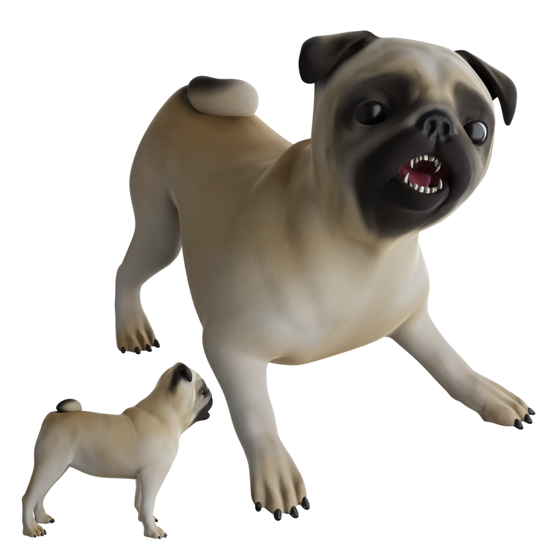 Pug | Mammals models | BlenderKit