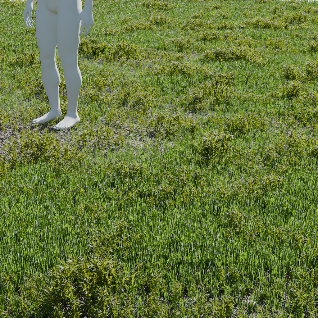 Grass field | Grass models | BlenderKit