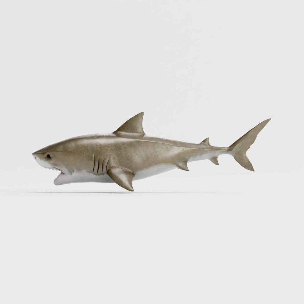 Tiger Shark Swimming | Fish models | BlenderKit