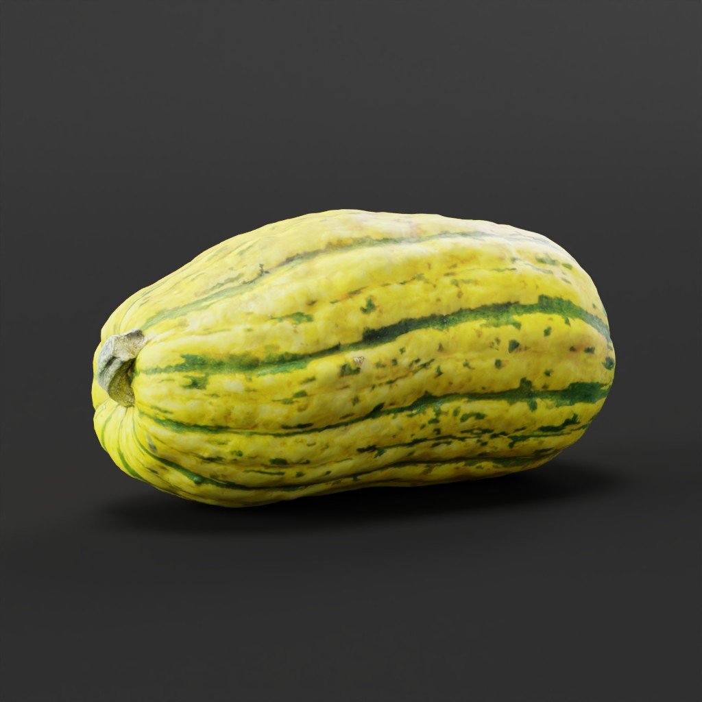 Pumpkin Delicata Squash | FREE Fruit & Vegetables models | BlenderKit