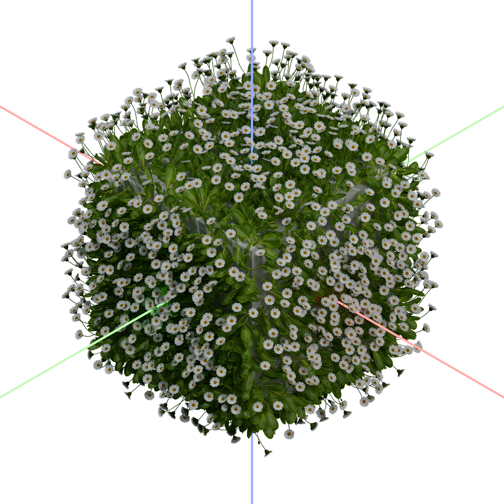 Common Daisy Growth Simulation | Plants models | BlenderKit