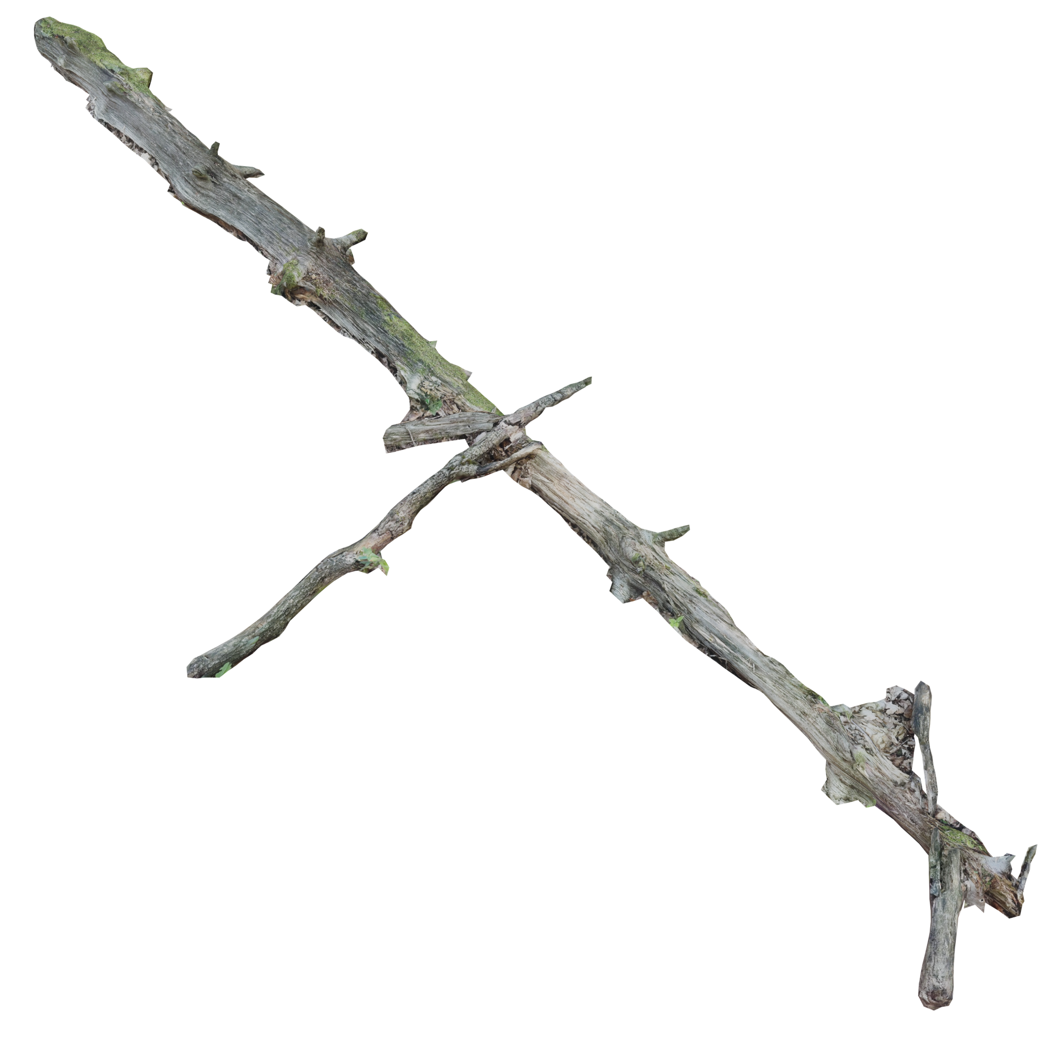 Fallen 3D Scanned tree 5.5m long | FREE Trees models | BlenderKit