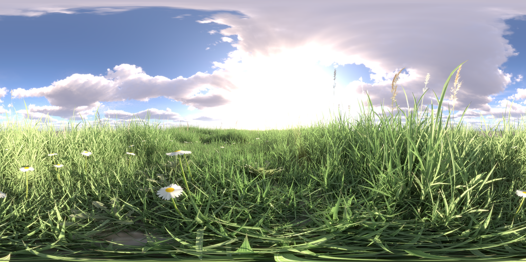 Morning light grass | FREE Nature HDRis | BlenderKit