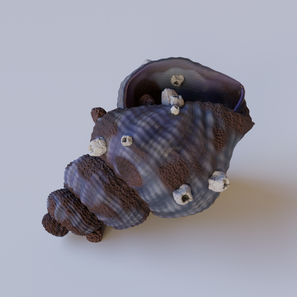 Seashell Welk - purple fade | FREE Nature models | BlenderKit